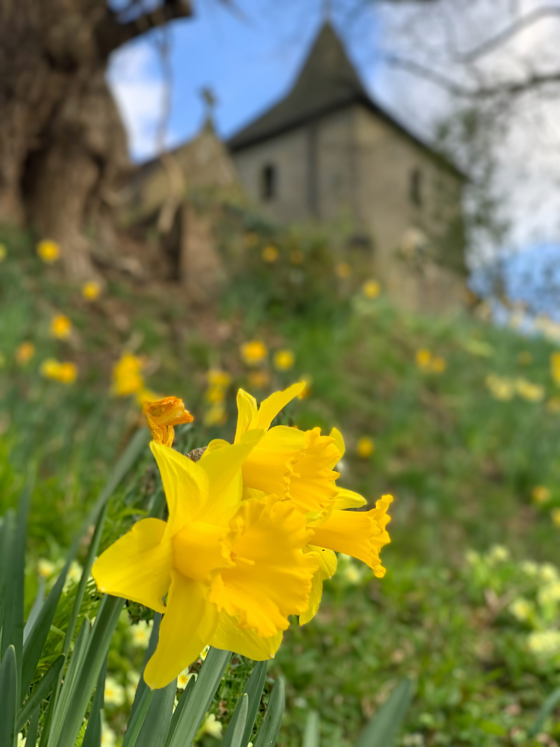 Home > Balcombe Community Website